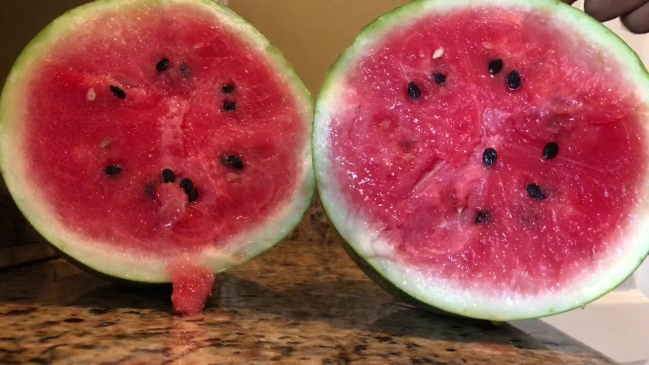 Cal Sweet Watermelon! Delicious! - YouTube