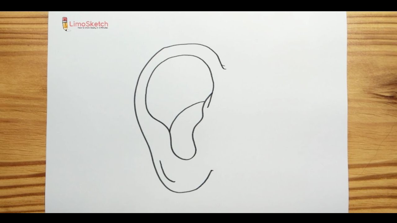 How to Drawing AN EAR Easy Step by Step - YouTube