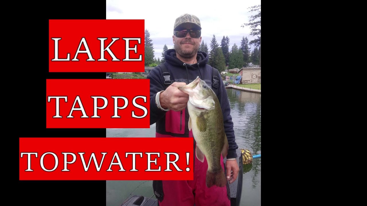 Lake Tapps Bass Fishing Topwater Smackdown - YouTube