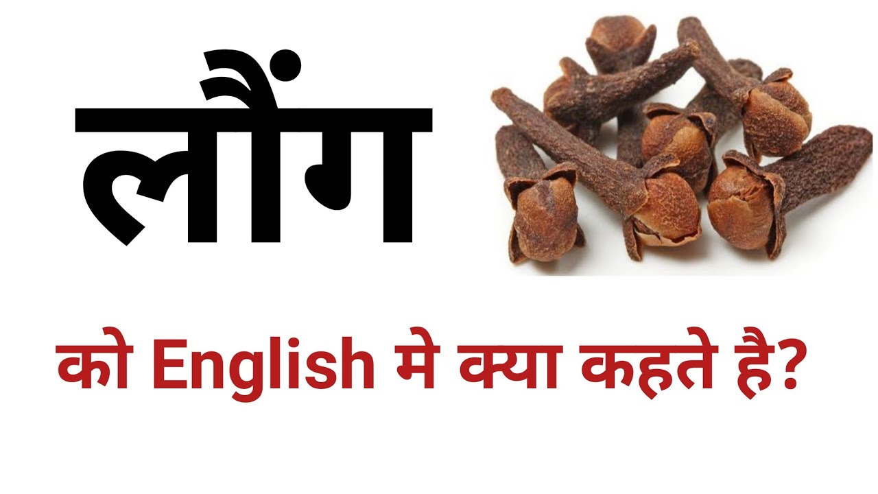 लौंग को इंग्लिश मे क्या कहते हैं || Laung ko English me kya kahte hai ...