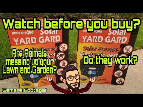 Bird-X Solar Yard Guard // Complete With Video Results! - YouTube