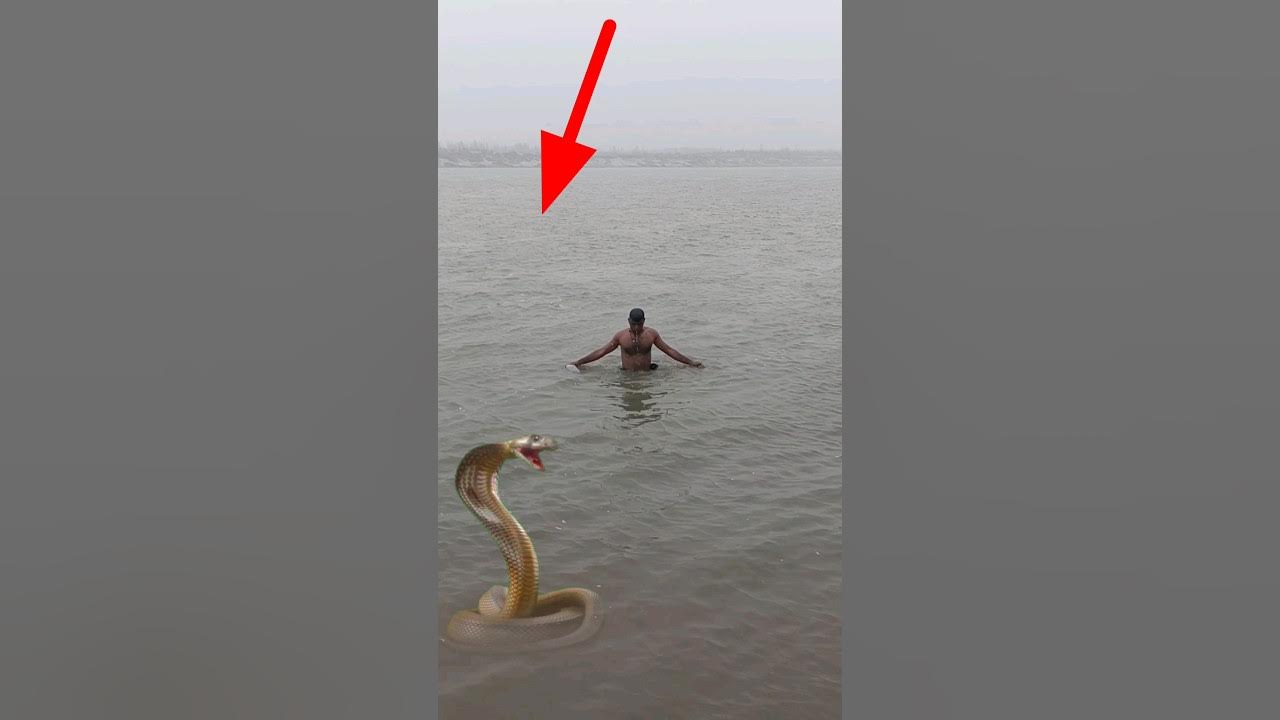Snake Ganga River #shots #youtubeshorts #viral - YouTube