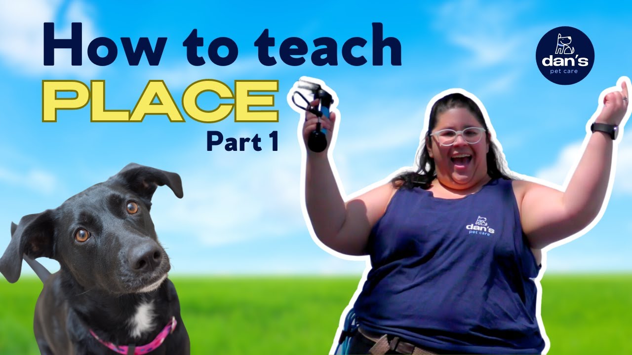 Mastering the 'PLACE' Command (PART 1) Dog Training Basics with Dan's ...