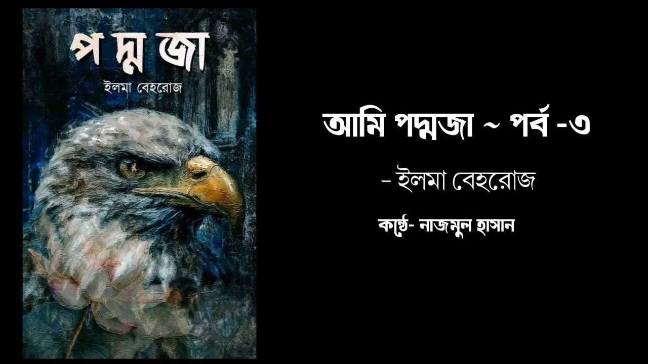 আমি পদ্মজা পর্ব-৩ | Ami poddoja | bangla audio book | ami poddoja ...