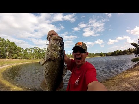 Catching Bass With A Rooster Tail - Florida - YouTube
