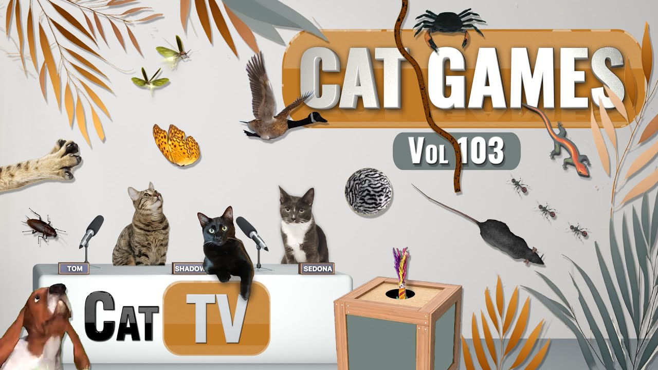 CAT Games | Ultimate Cat TV Compilation Vol 103 | 6 HOURS 🐝🐞🦋🦎🦜🐜🐭🧵 ...