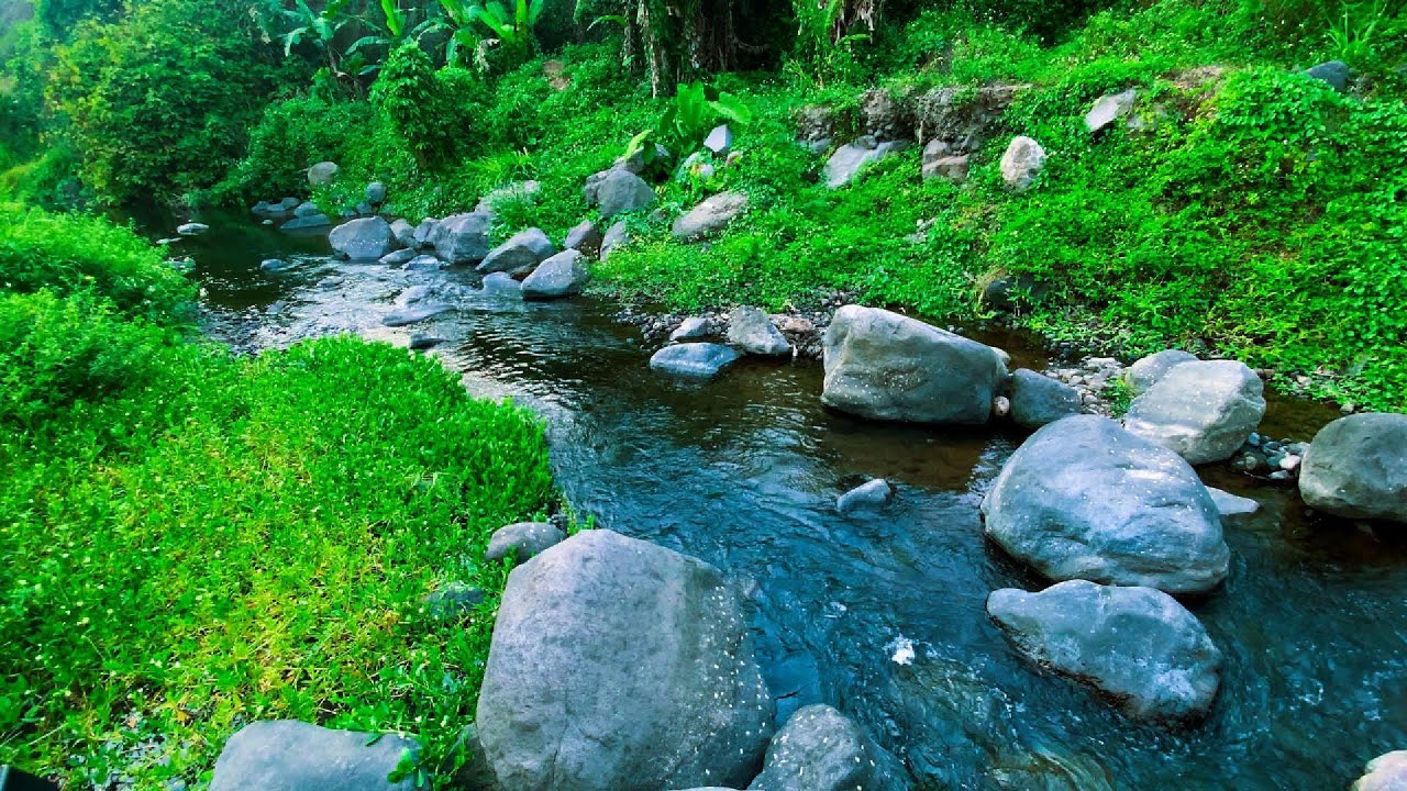 Relaxing river sounds, Soft River Flow for Deep Sleep, Stress Reduction ...