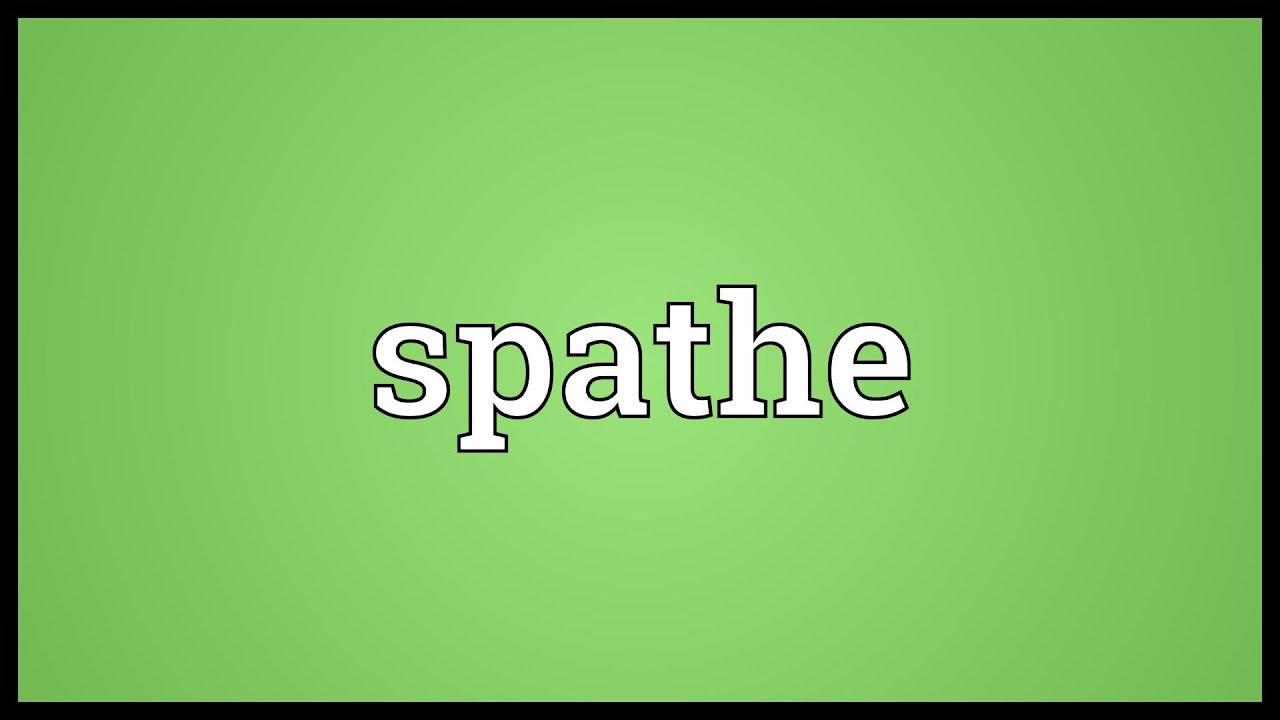 Spathe Meaning - YouTube