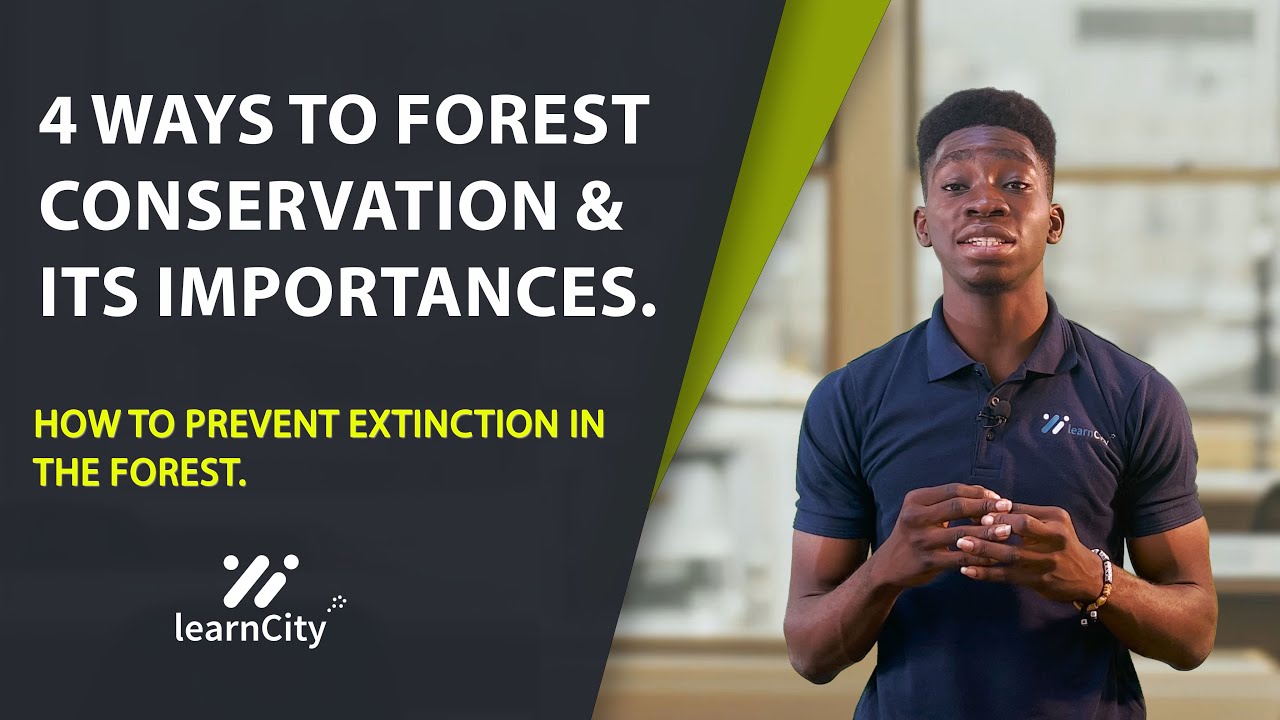 FOREST CONSERVATION: Basic Forest Conservation Techniques; Importance ...