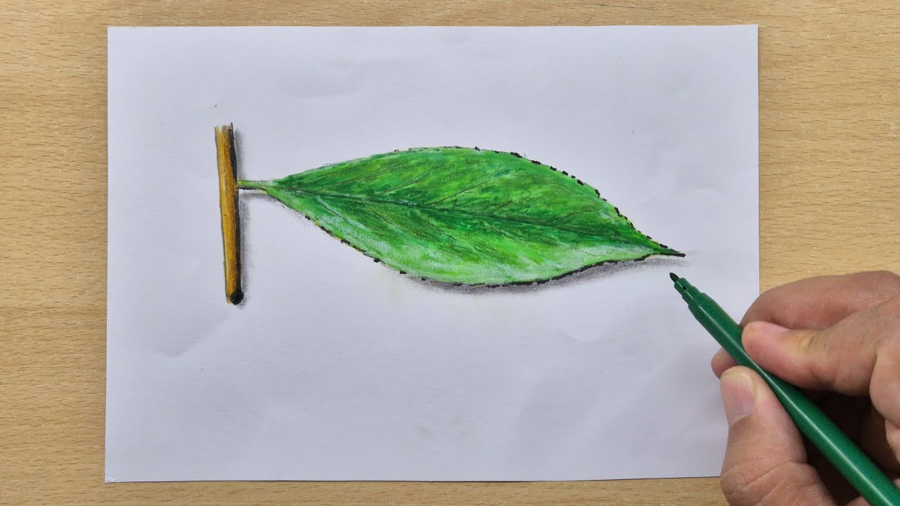 3d drawing leaf on paper - YouTube