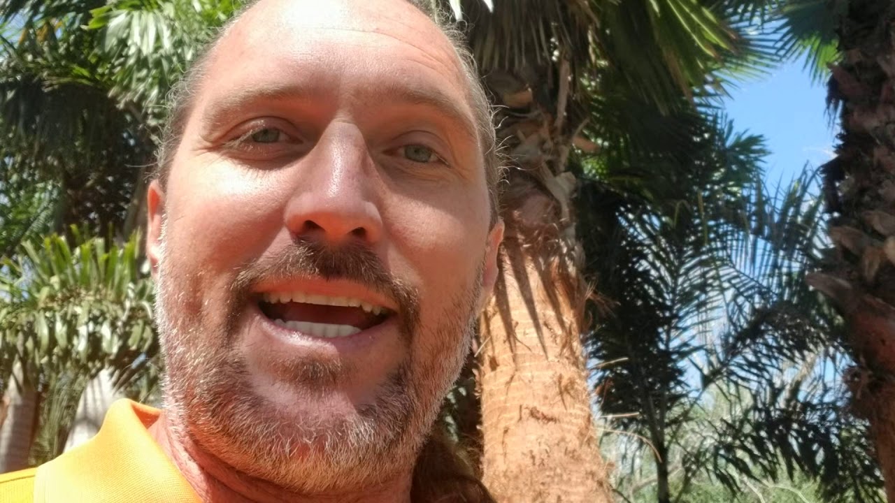 How to avoid a common scam at Garden Centers and Tree Farms - YouTube