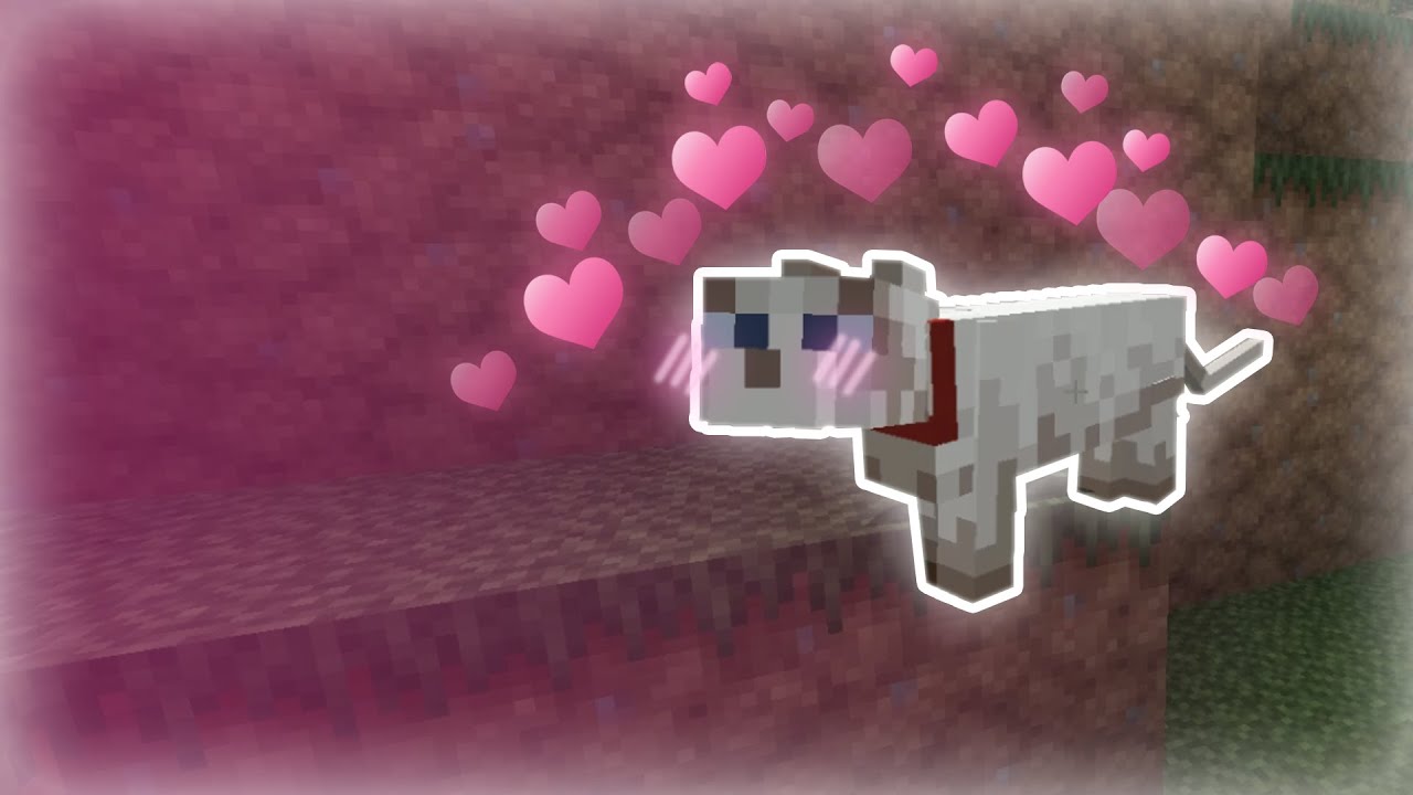 Taming a CUTE KITTY!! | Minecraft HC #1 - YouTube