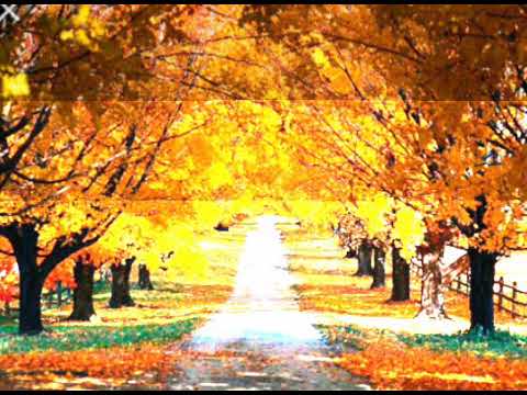 Kibariye mutsuz kadin