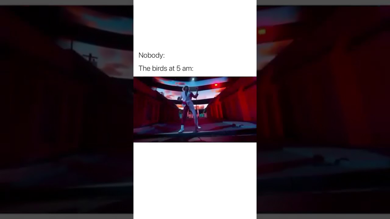 Birds at 5am. Tyler the creator. meme - YouTube