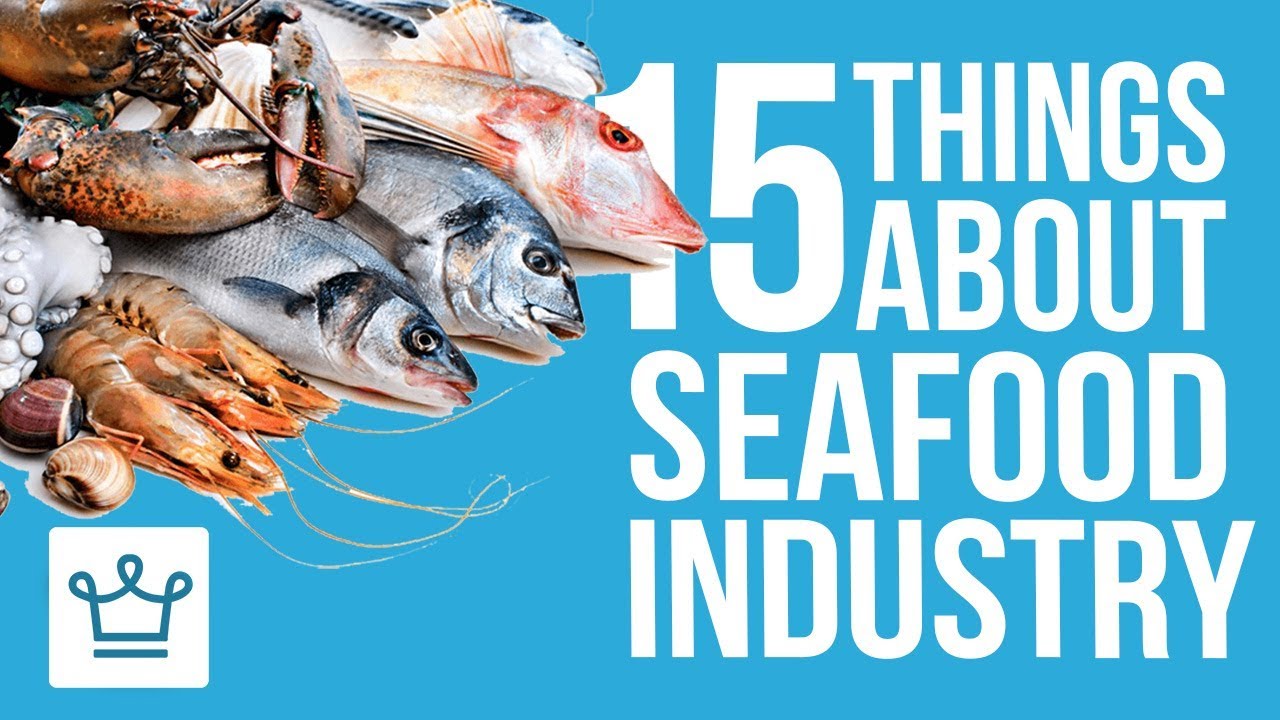 15 Things You Didn't Know About The Seafood Industry - YouTube