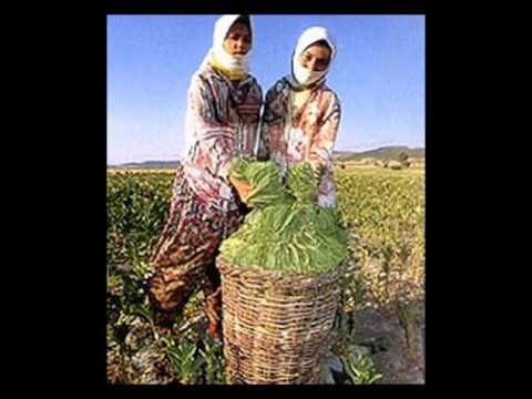 seni sevmek bir memleketi sevmekti