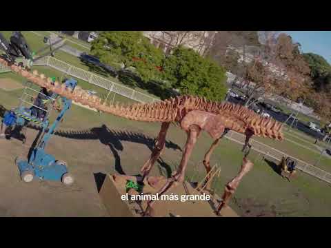 🦕 ¡Patagotitan mayorum ya llegó a Buenos Aires!