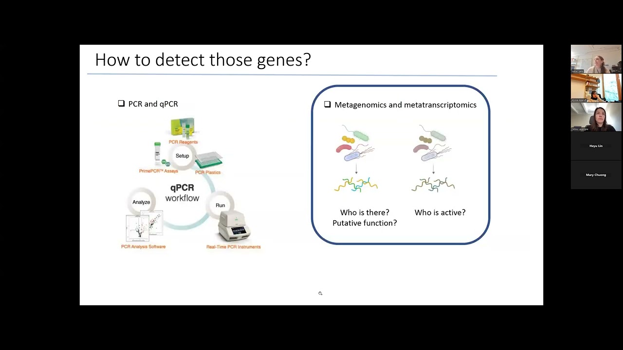 Identification and Verification of merAB genes. - YouTube