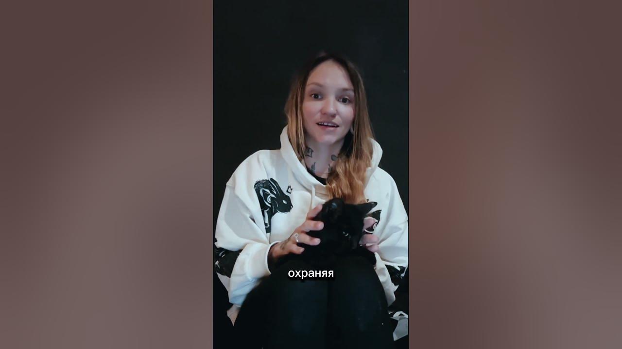 Фамильяр #кот #собака - YouTube