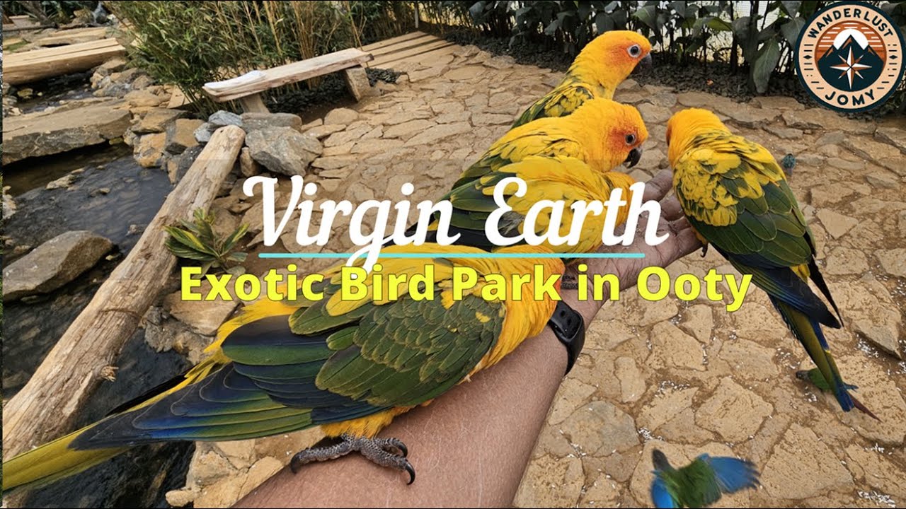 Celebrating Nature | Exploring Virgin Earth Exotic Bird Park in Ooty ...