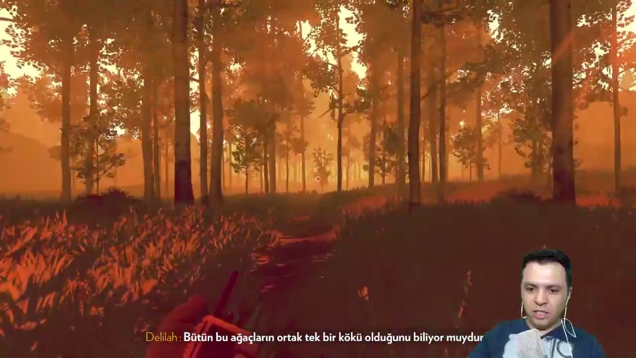 Two Forks Ormanında / Daktilo uçmuş // FİREWATCH #1 - YouTube