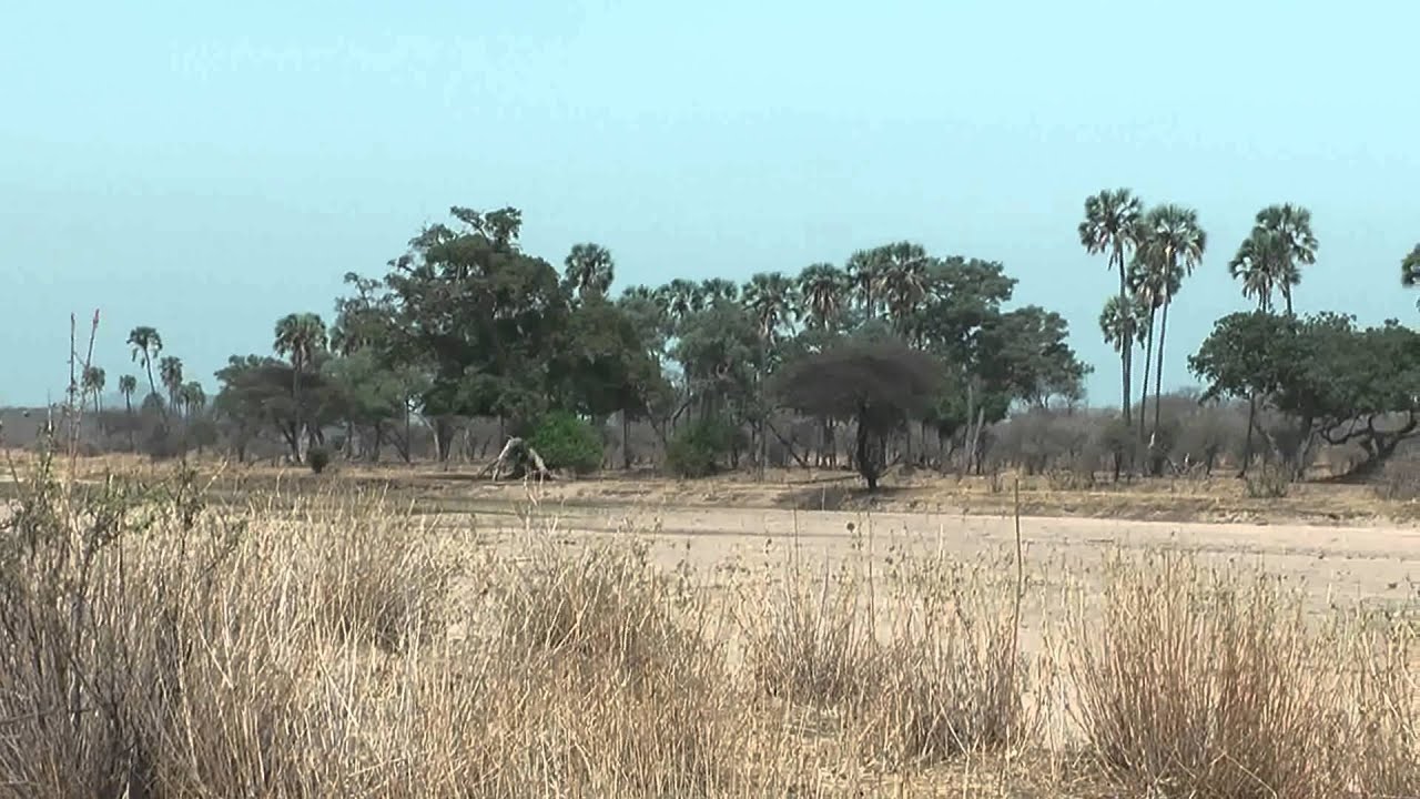 Ruaha - Landscape at Ruaha National Park - YouTube