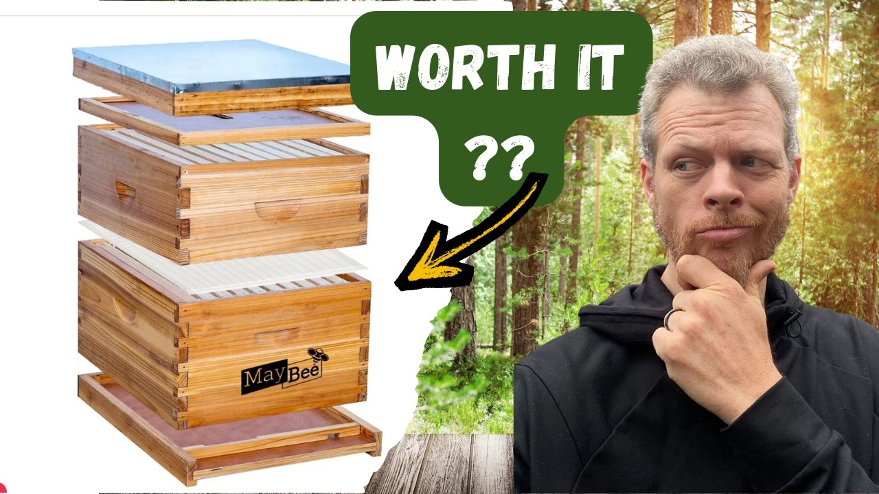 MayBee Hive Kit Build, Pros & Cons - YouTube