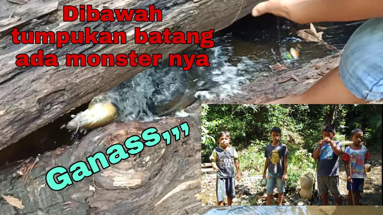 Mancing di sungai kecil, dan menikmati Alam# bersama bocah pancing ...