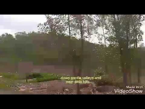 Through the countryside of Ottapalam / Kondazhy..... - YouTube