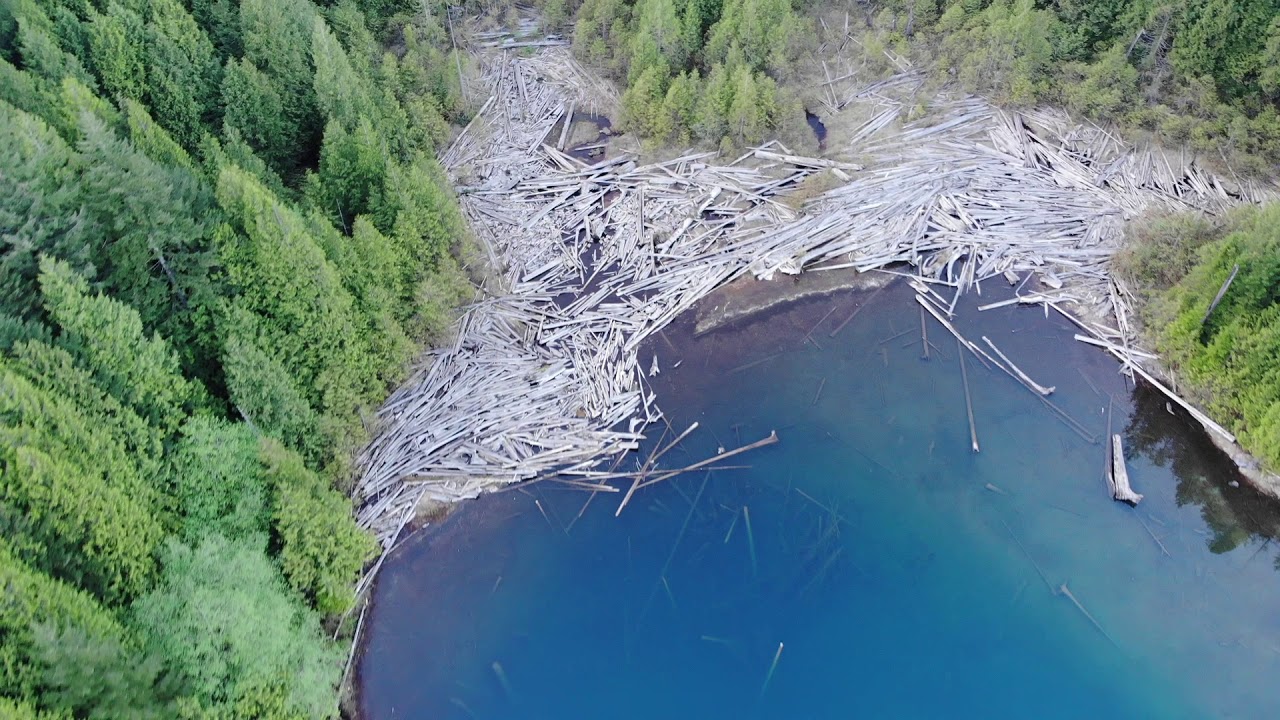 Sayres Lake BC - YouTube
