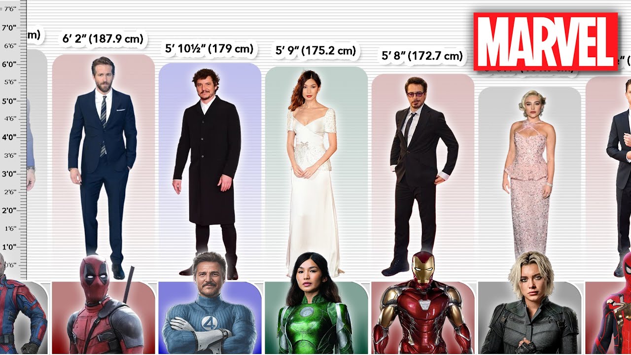🔴🧍↕ Marvel Cast Heights Revealed & Ranked - YouTube