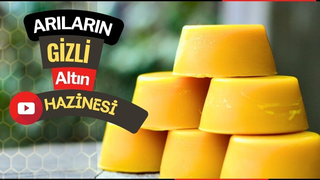 Arıların Altın Hazinesi: Balmumunun Göz Kamaştıran Sırları! Bal mumu ...