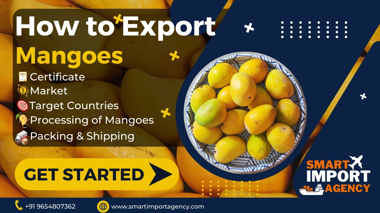 MANGO EXPORT [IMPORT EXPORT] - YouTube