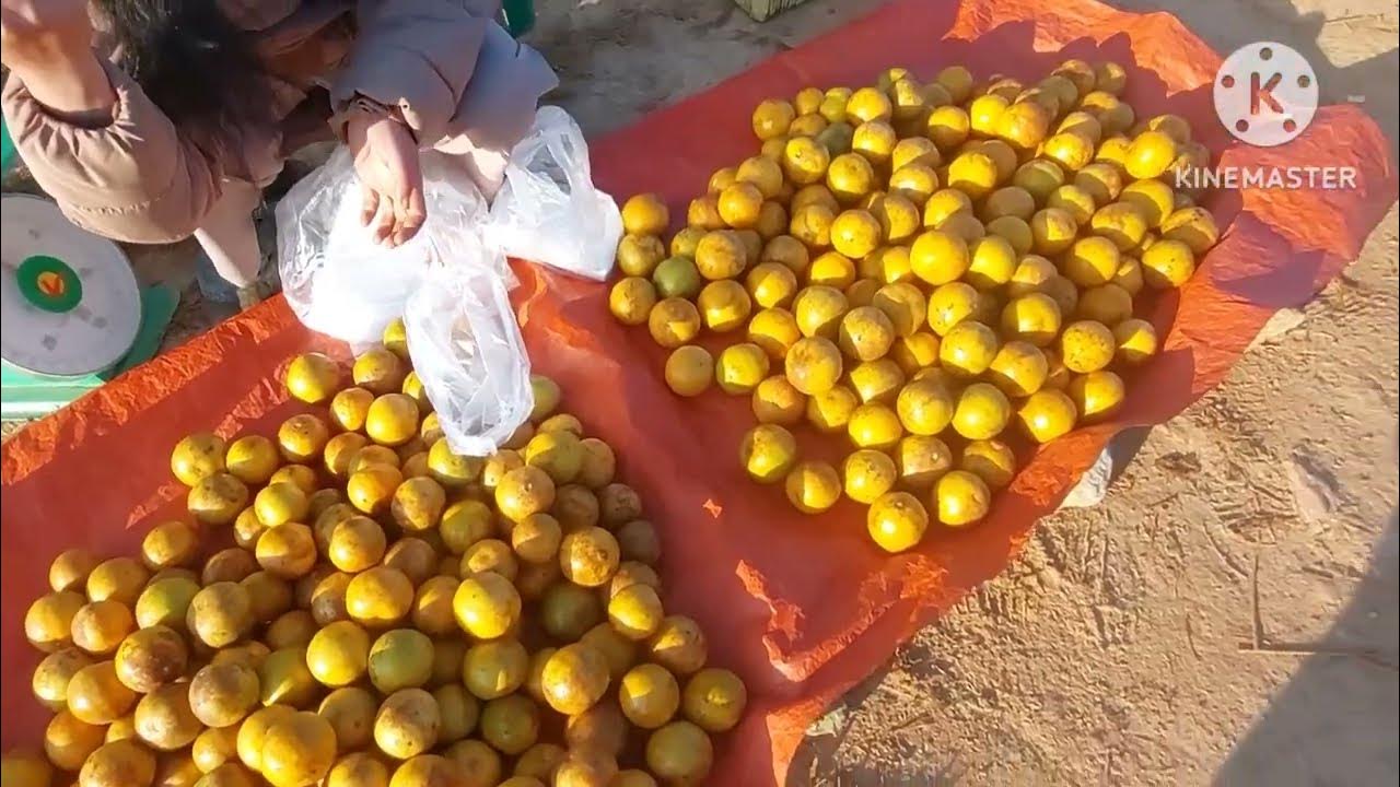 mu ncig tab laj sawv ntxov hauv looj ceeb yuav mu tsev mu noj 30 lawm os - YouTube