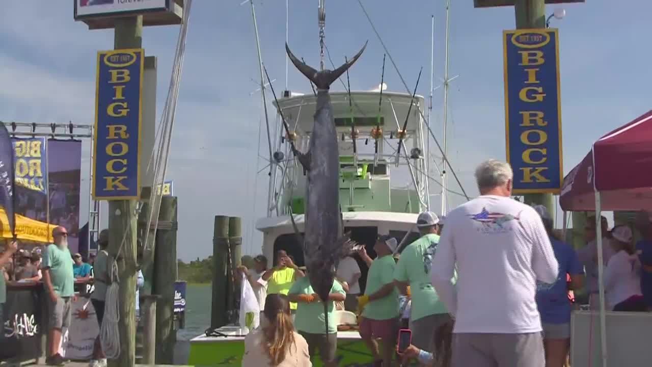 Big Rock Day 3: Predator brings in blue marlin - YouTube