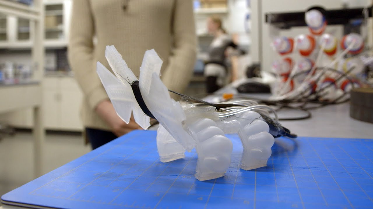 Meet Dart, BU's "Stranger Things"-Inspired Soft Robot - YouTube