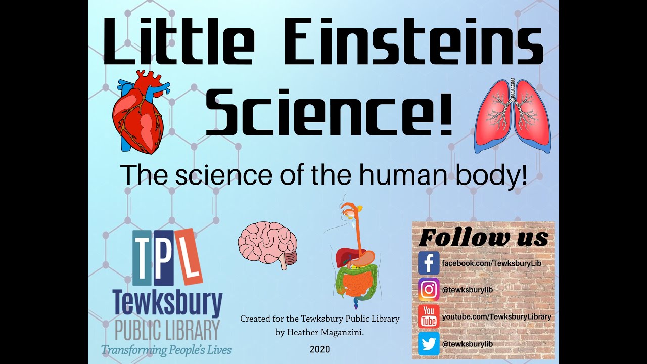 Little Einsteins Science: The Human Body! - YouTube