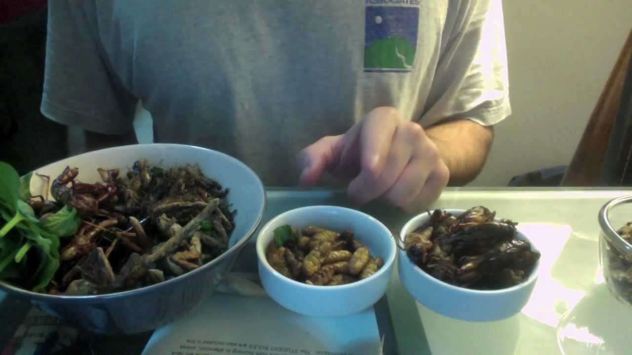 Weird Asian Food: Bugs 1/5 - Silkworm Larvae - YouTube
