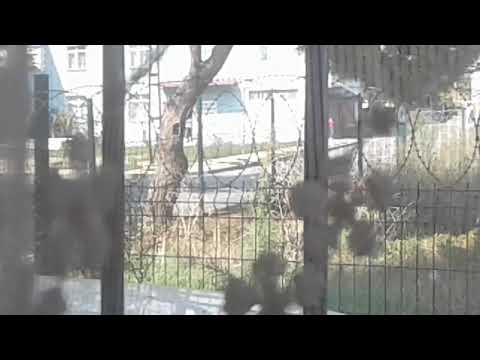 GİZLİ ÇEKİM MODU 2