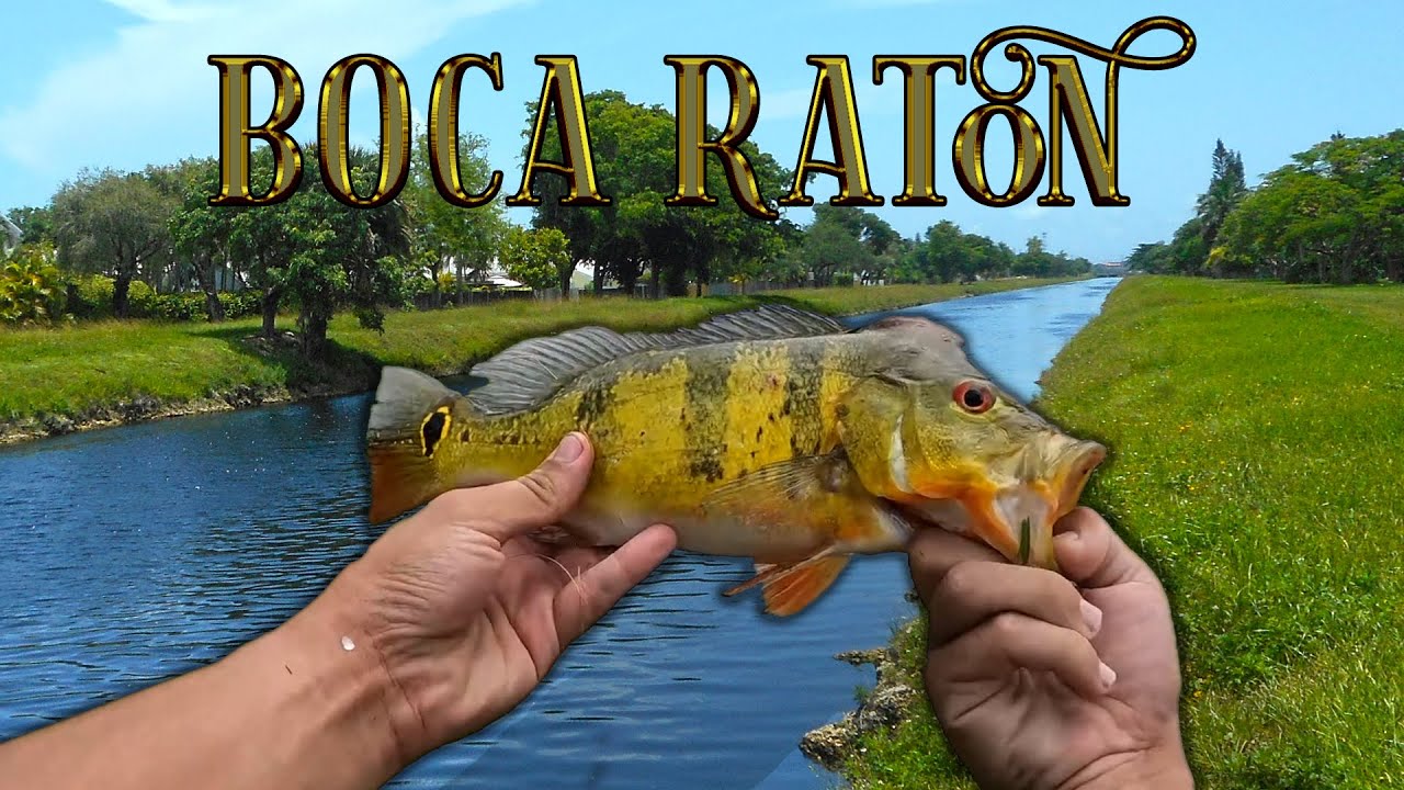 Canal Hopping in Boca Raton - YouTube