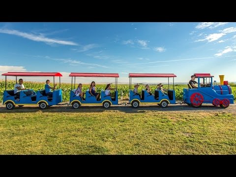 Kids Train Ride Adventure in Safari Park | Lions Monkeys Otters Deers ...