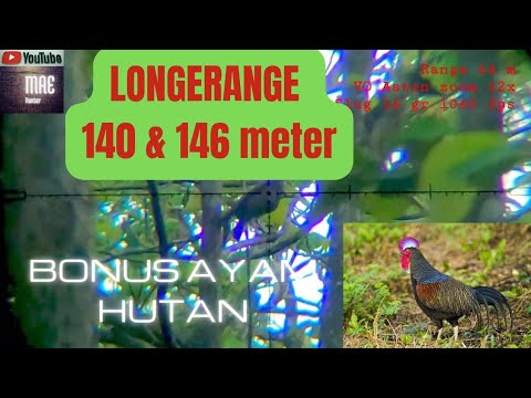 Long range shot 146 meter dan 140 meter derkuku slug 16 gr 1000 fps up ...