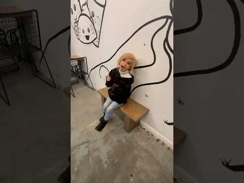 TINY TEXIE CAN FINALLY REACH!! #TINYTEXIE #SMALL #VIRAL #FUNNY #CUTE #LOVE #LITTLEPERSON #YT #SHORTS