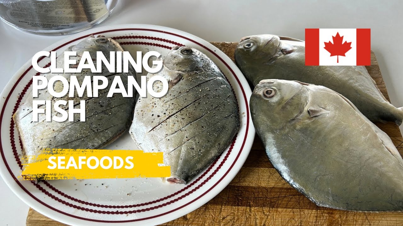 CLEANING POMPANO FISH 🐟 - YouTube
