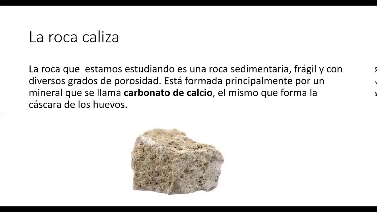 La roca caliza. Como realizar el proyecto 3 del cuadernillo 3 - YouTube