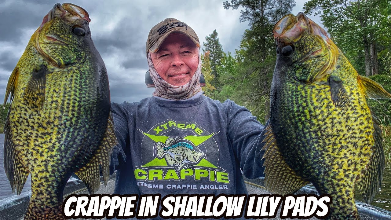CRAPPIE IN SHALLOW LILY PADS- How to catch them - YouTube