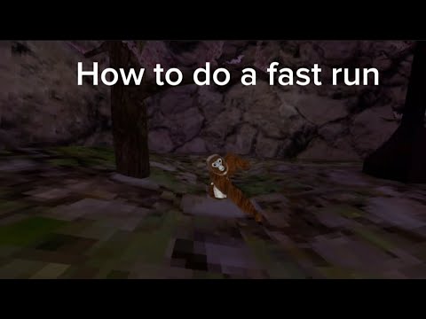 How to do my run in gtag - YouTube