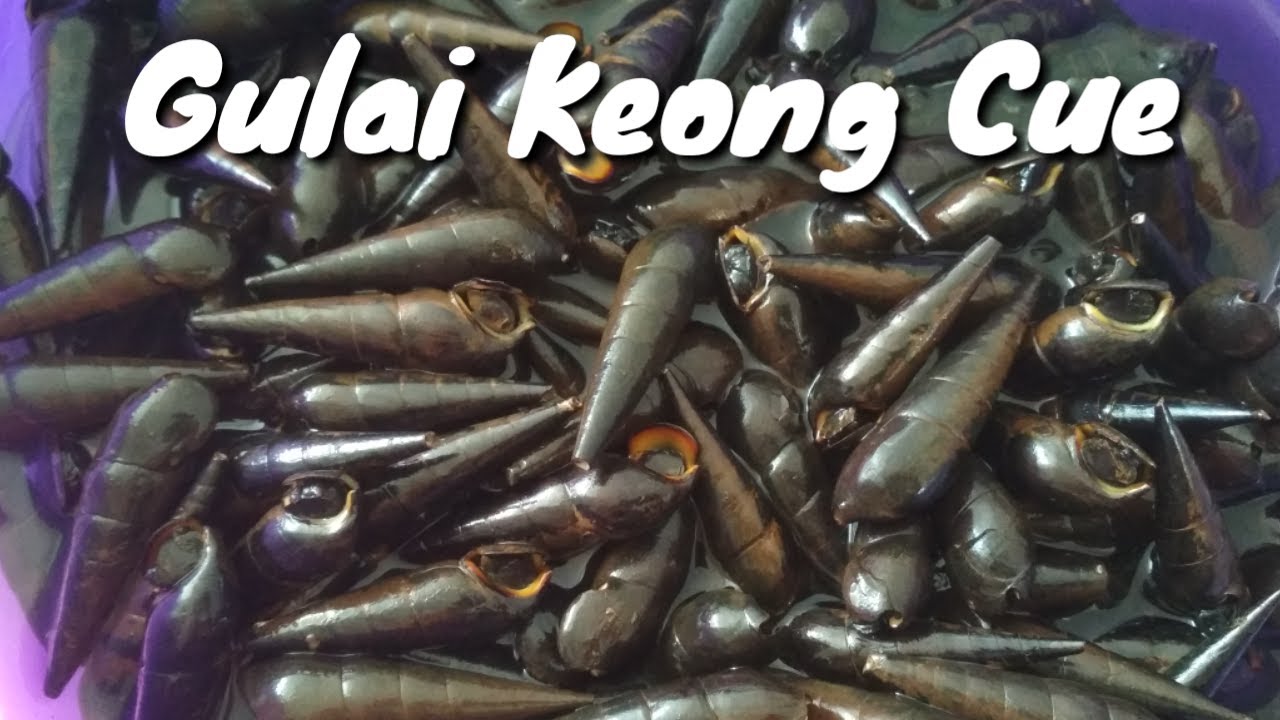 gulai keong Cue | keong yang super enak kalo di masak begini - YouTube