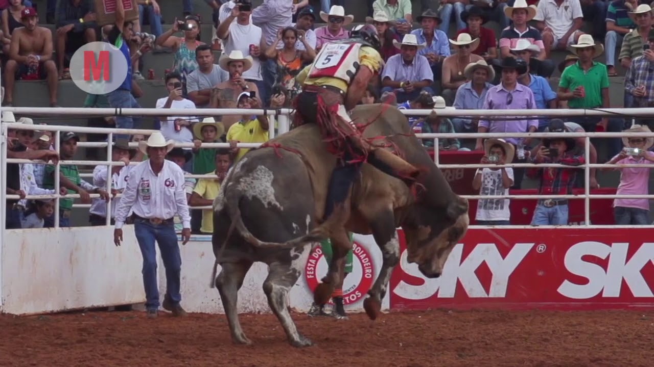 BARRETOS RODEIO - SEDÉM MACHUCA O SACO DO BOI NO RODEIO. - YouTube