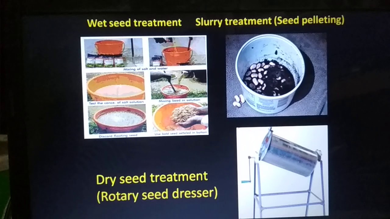Methods of application of Fungicides - Principles of Plant Protection ...